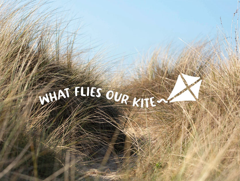 What Flies Our Kite - Running, Recipes and Woodland Retreats | Kite ...